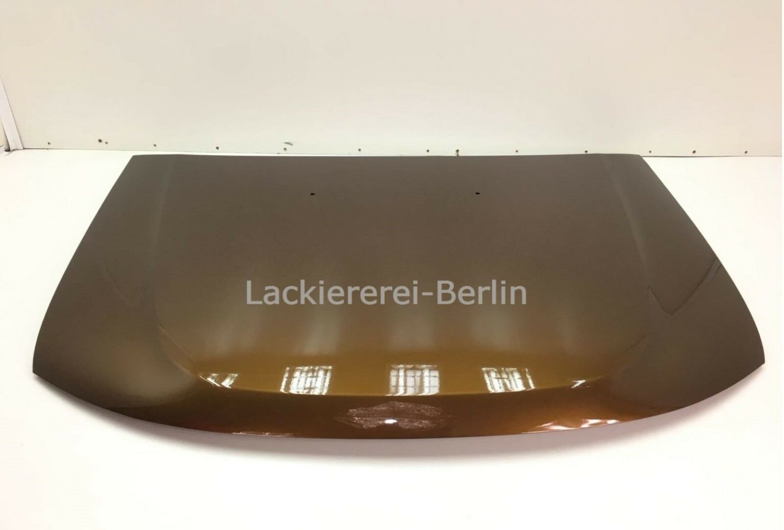 Dacia Duster 2010-2017 MOTORHAUBE PROFESSIONELL LACKIERT IN WUNSCHFARBE ...
